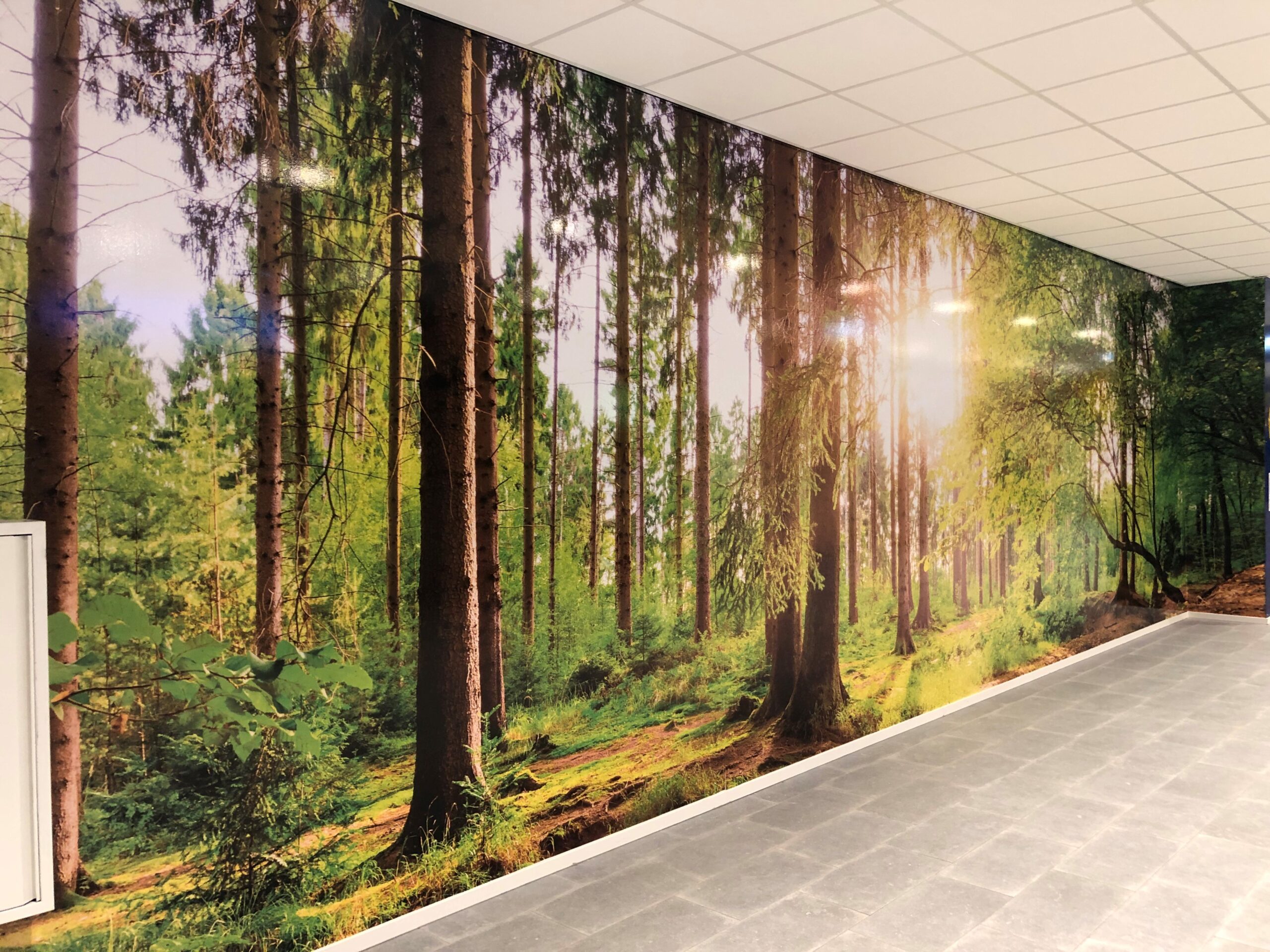 Photo murals and lettering - ProXPOSE (voorheen Actionsign) - Express ...